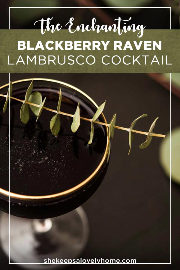 The Blackberry Raven Lambrusco Cocktail - She Keeps a Lovely Home