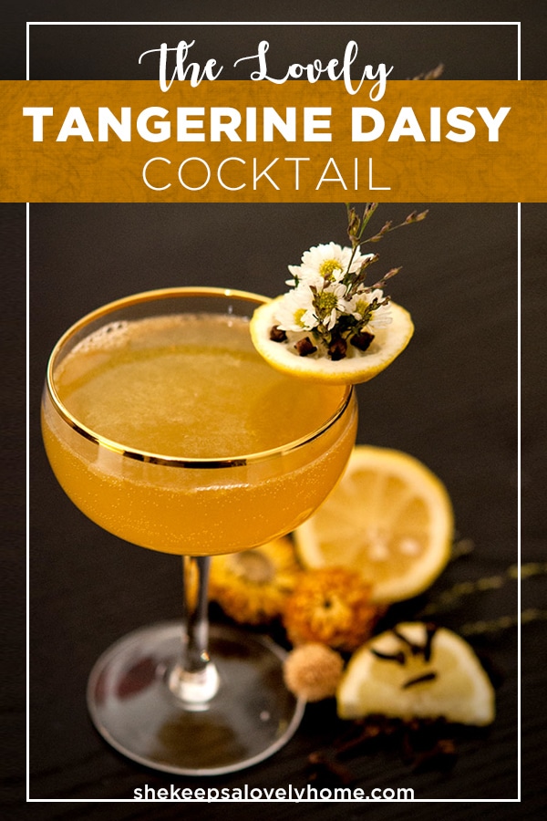 The Tangerine Daisy Cocktail - She Keeps a Lovely Home