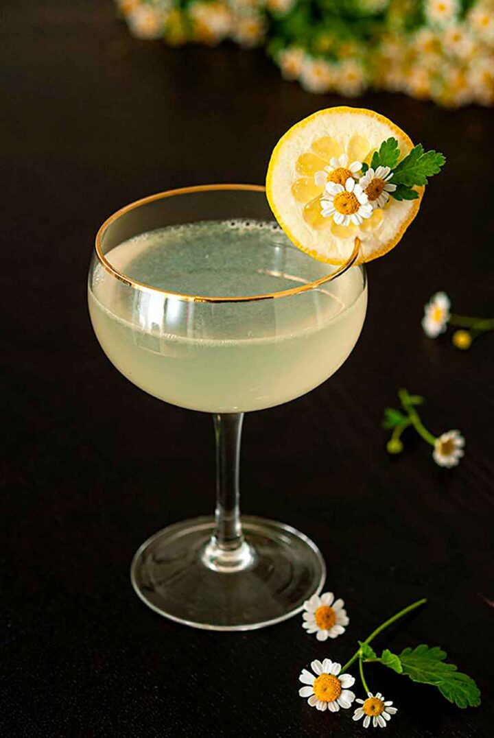 The Simple Lemon Drop Cocktail – She Keeps a Lovely Home
