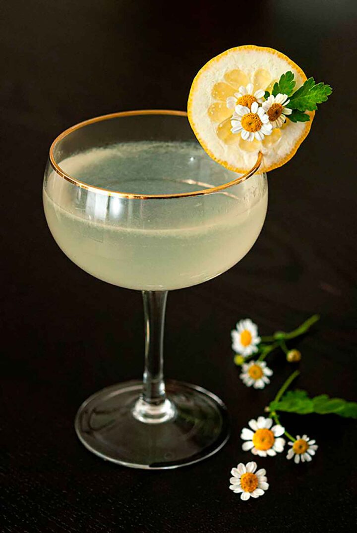 The Simple Lemon Drop Cocktail – She Keeps a Lovely Home