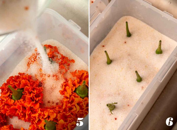 How to Dry Marigolds with Silica Gel – She Keeps a Lovely Home