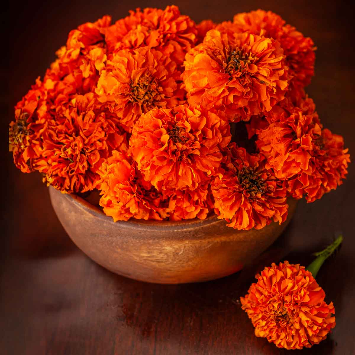 How to Dry Marigolds with Silica Gel – She Keeps a Lovely Home
